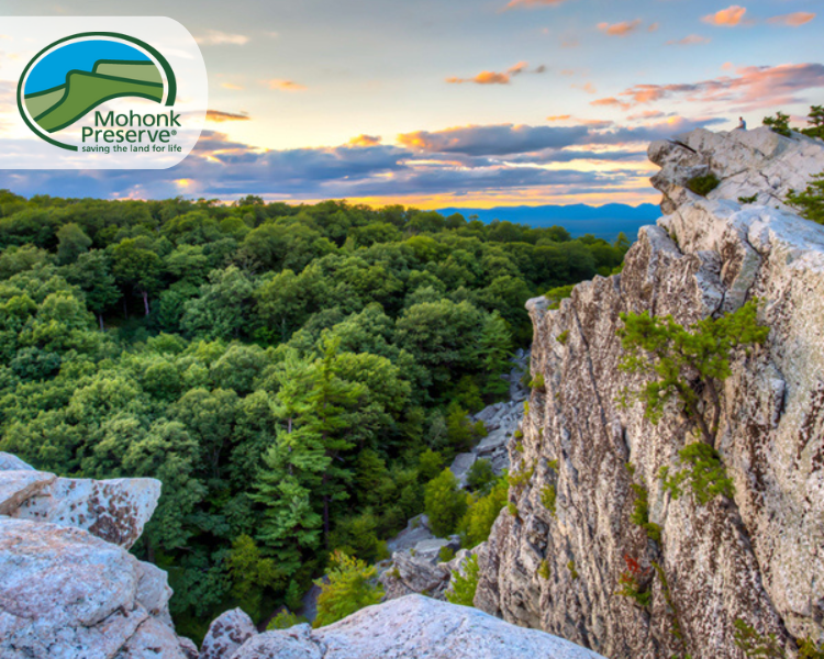 Museum Pass Program | Chappaqua Library